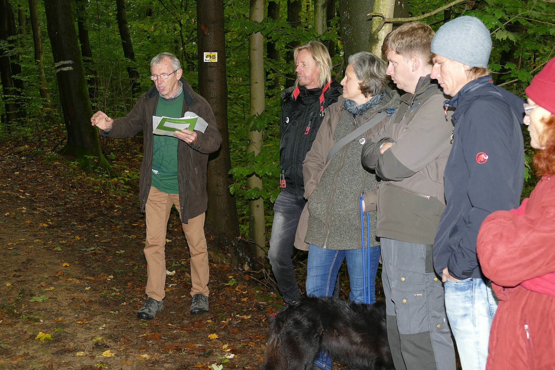 Wildkatze - BUND Naturschutz in Bayern e.V.